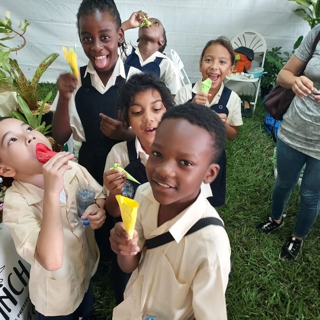 Home - St. Catherine's Private Primary School